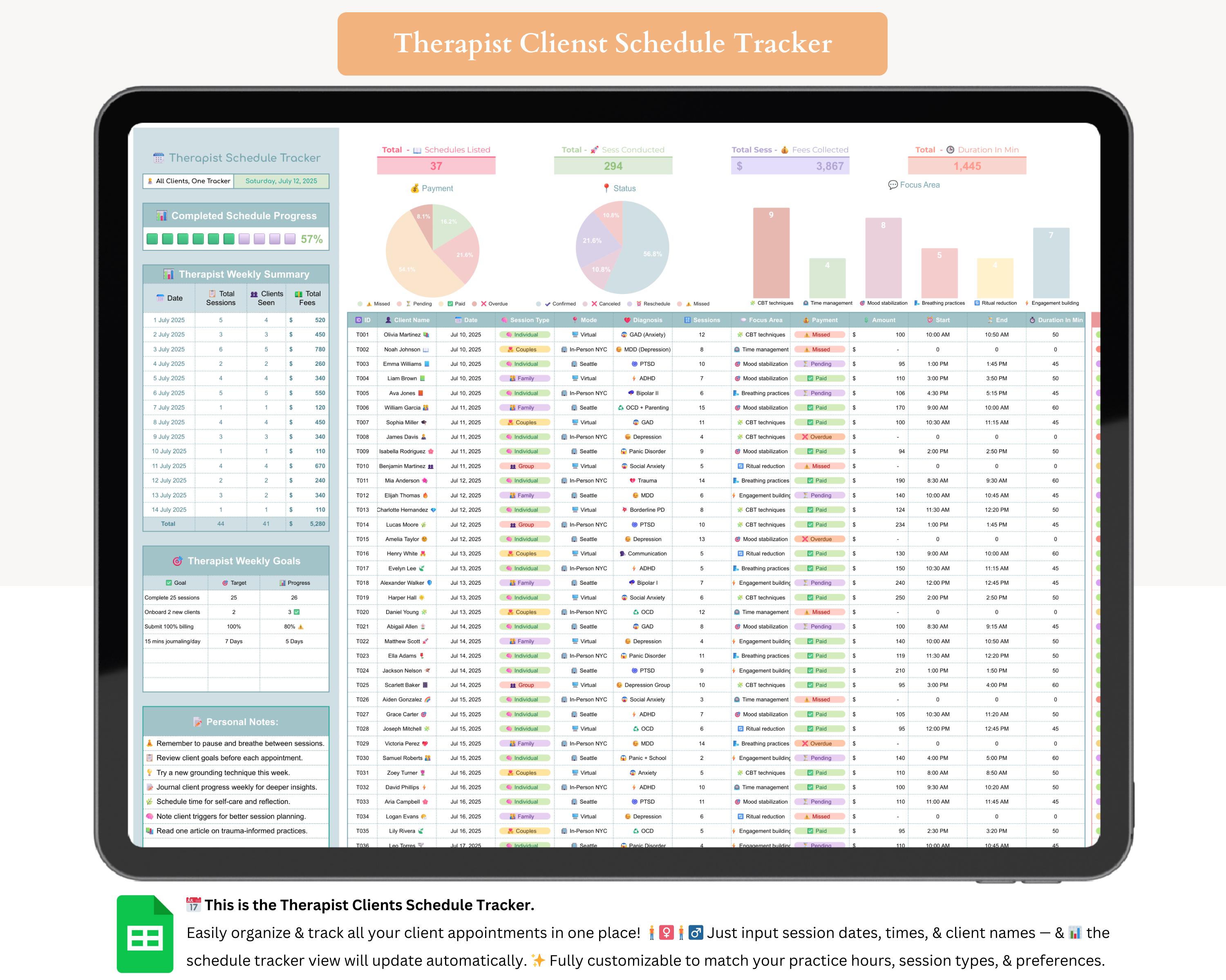 Therapist Client Tracker - Therapist Scheduler - Therapist Caseload ...