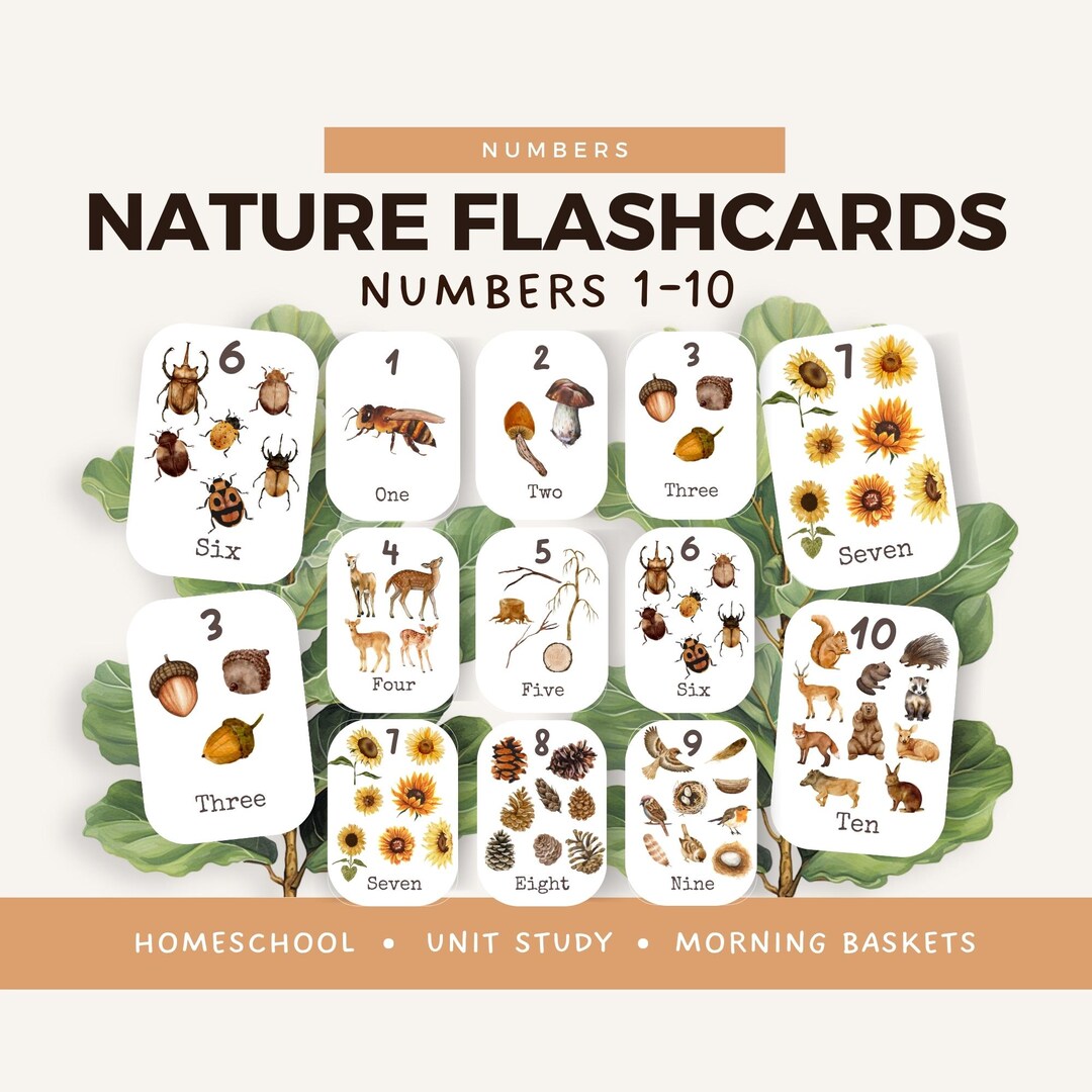 Number Flashcards Nature 1-10: Montessori Homeschool Nature Printables ...
