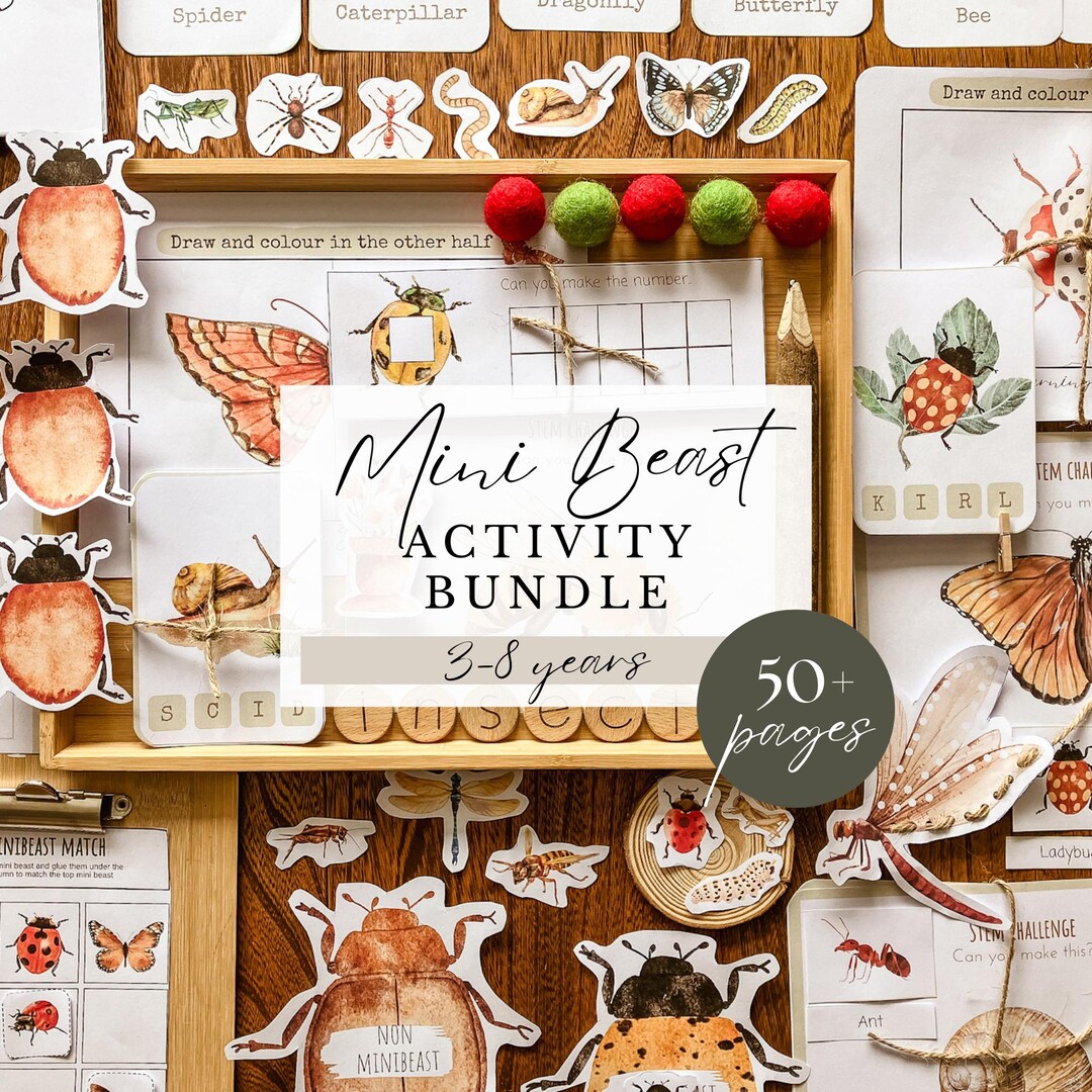 Bugs and Insects Fine Motor Activities Preschool | Mini Beast Morning ...