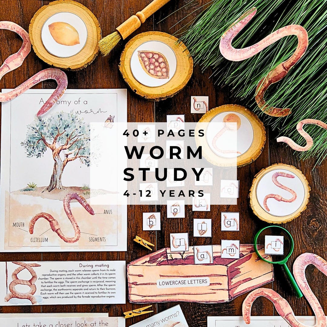 Worm Investigation Charlotte Mason Homeschool Printable Resource Nature ...