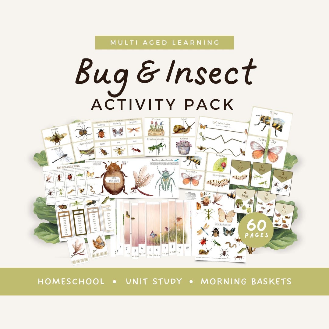 Insects Morning Basket Activities, Morning Menu Printable 1st Grade ...
