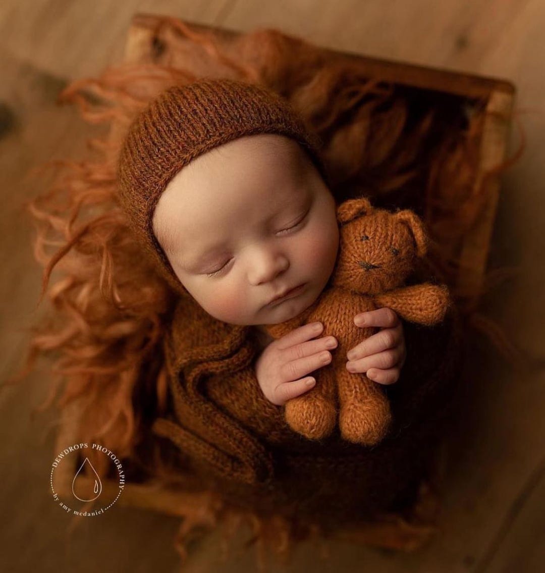 Cinnamon Teddy Bear - Etsy