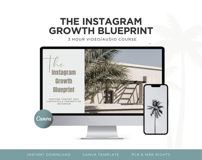 The Instagram Growth Blueprint - MRR Course | Strategy Guide With Master Resell Rights ...