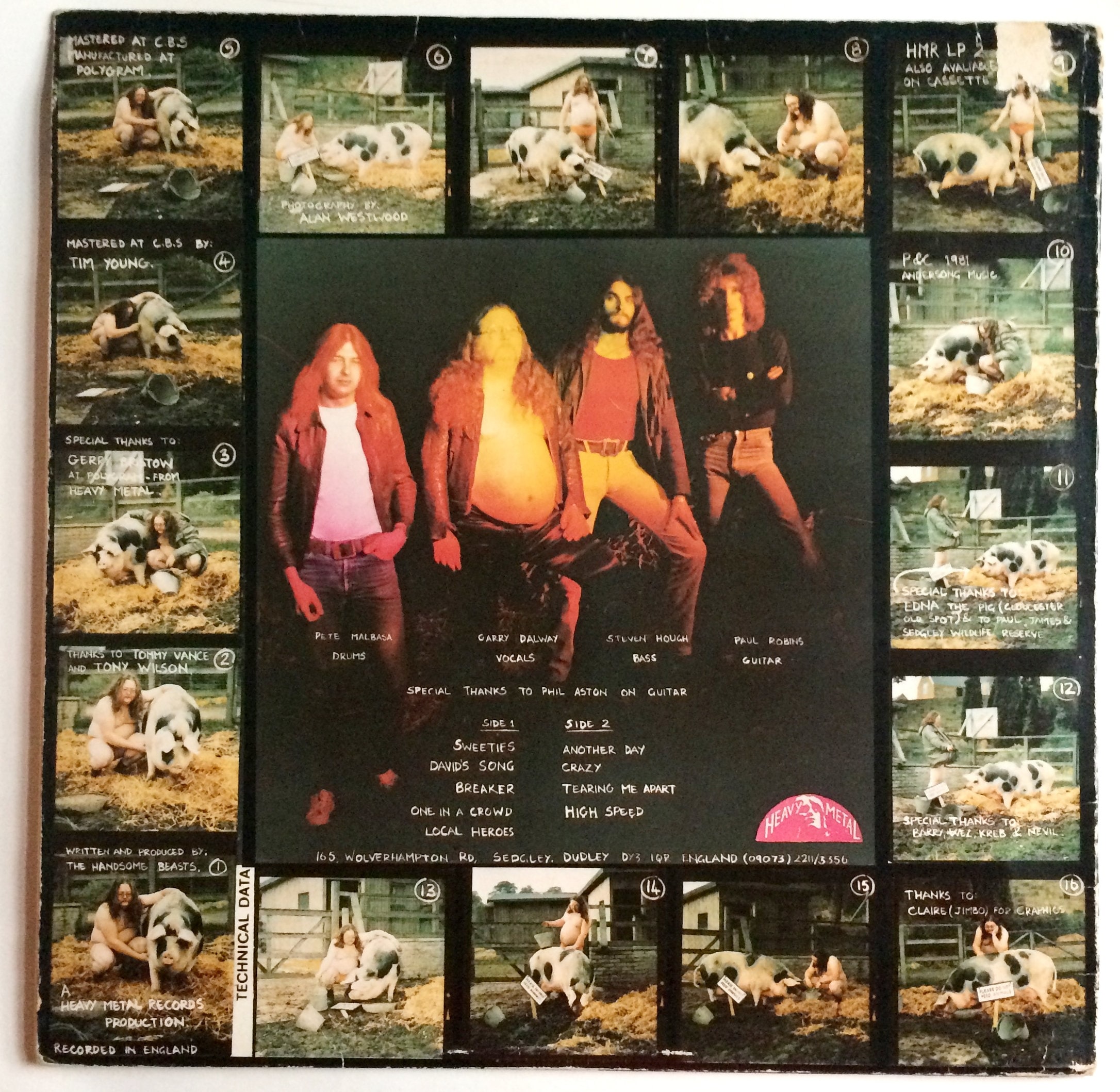 THE HANDSOME BEASTS - Beastiality Lp 1981 Original Vintage Vinyl Record Album - Etsy