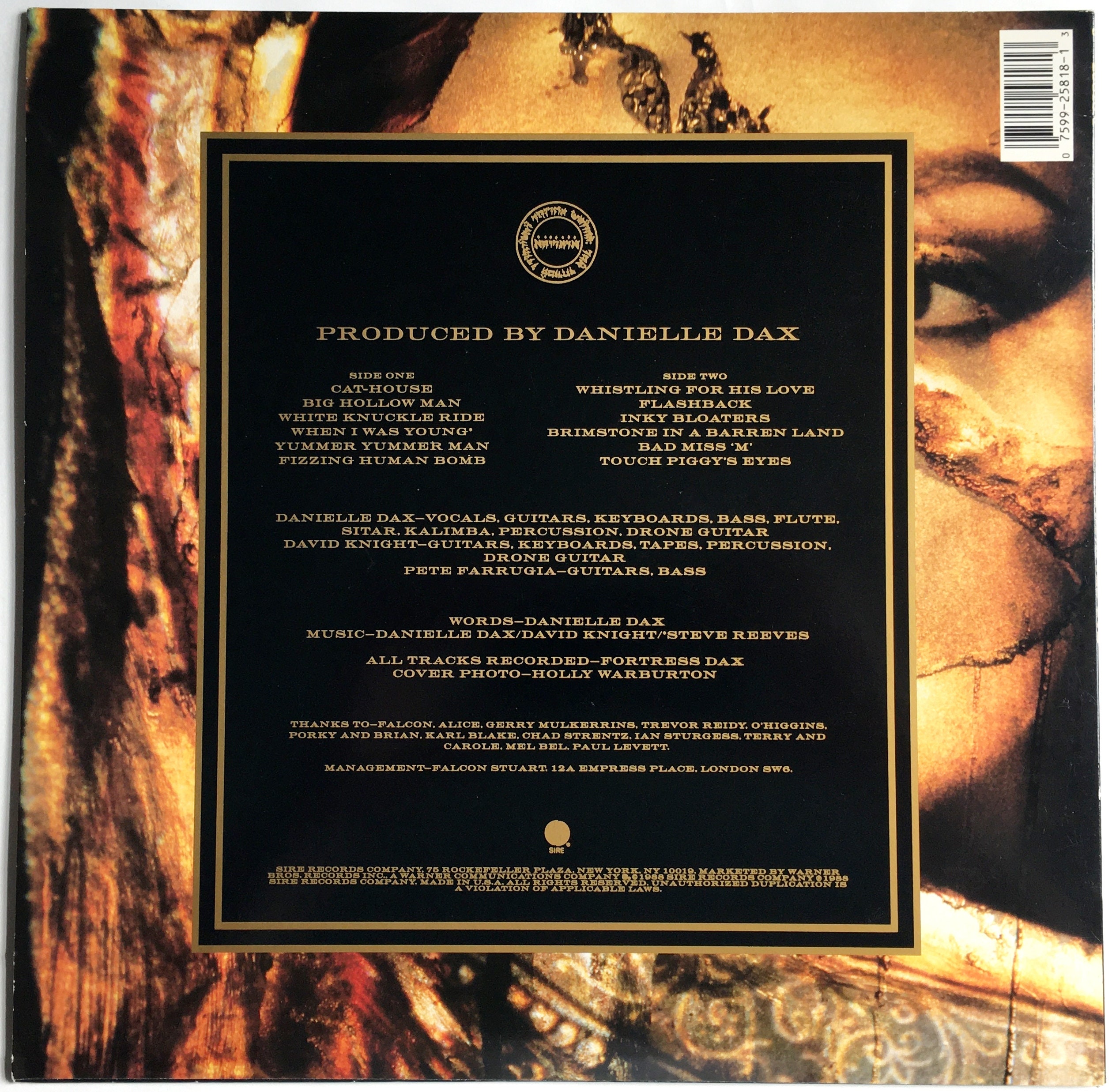 DANIELLE DAX Dark Adapted Eye LP 1984 Gold Stamp Promo - Etsy