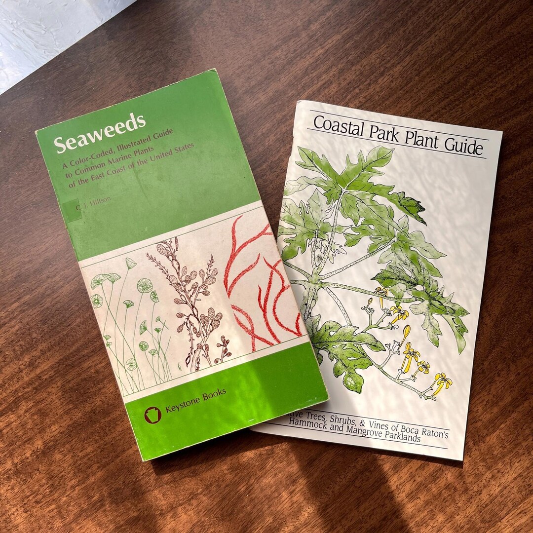 Vintage Seaweed & Coastal Plant Guide: Florida Beach Ecology Reference ...
