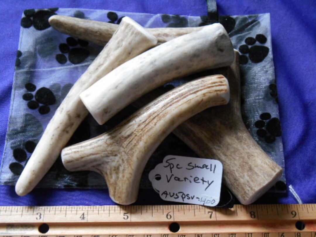 5 Piece Small Variety Deer Antler Dog Chews for Heavy Chewers LESS Than ...