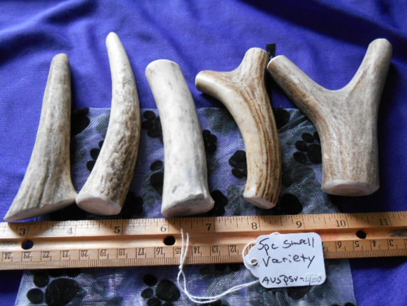 5 Piece Small Variety Deer Antler Dog Chews for Heavy Chewers | Etsy