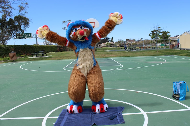 Custom Fursuit Head or Partial - Etsy