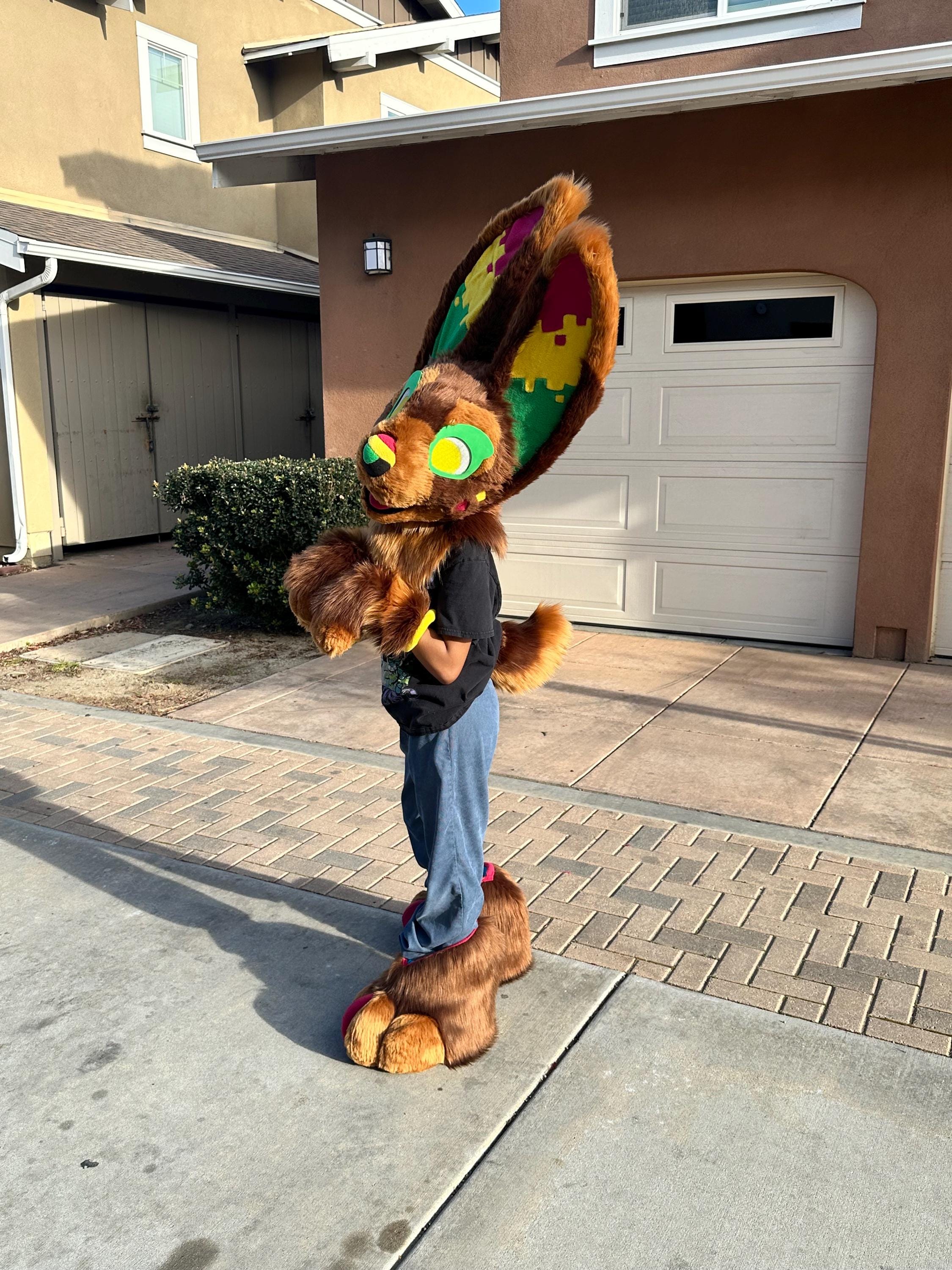 Custom Fursuit Head or Partial - Etsy