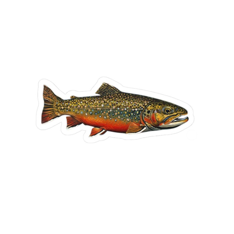 Brook Trout Cutout Stickers - Nature Fish Wildlife Outdoor Adventure ...