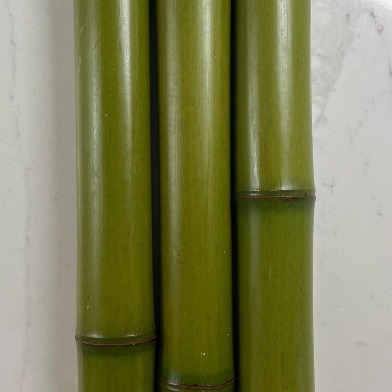 Green Raw Bamboo - Etsy