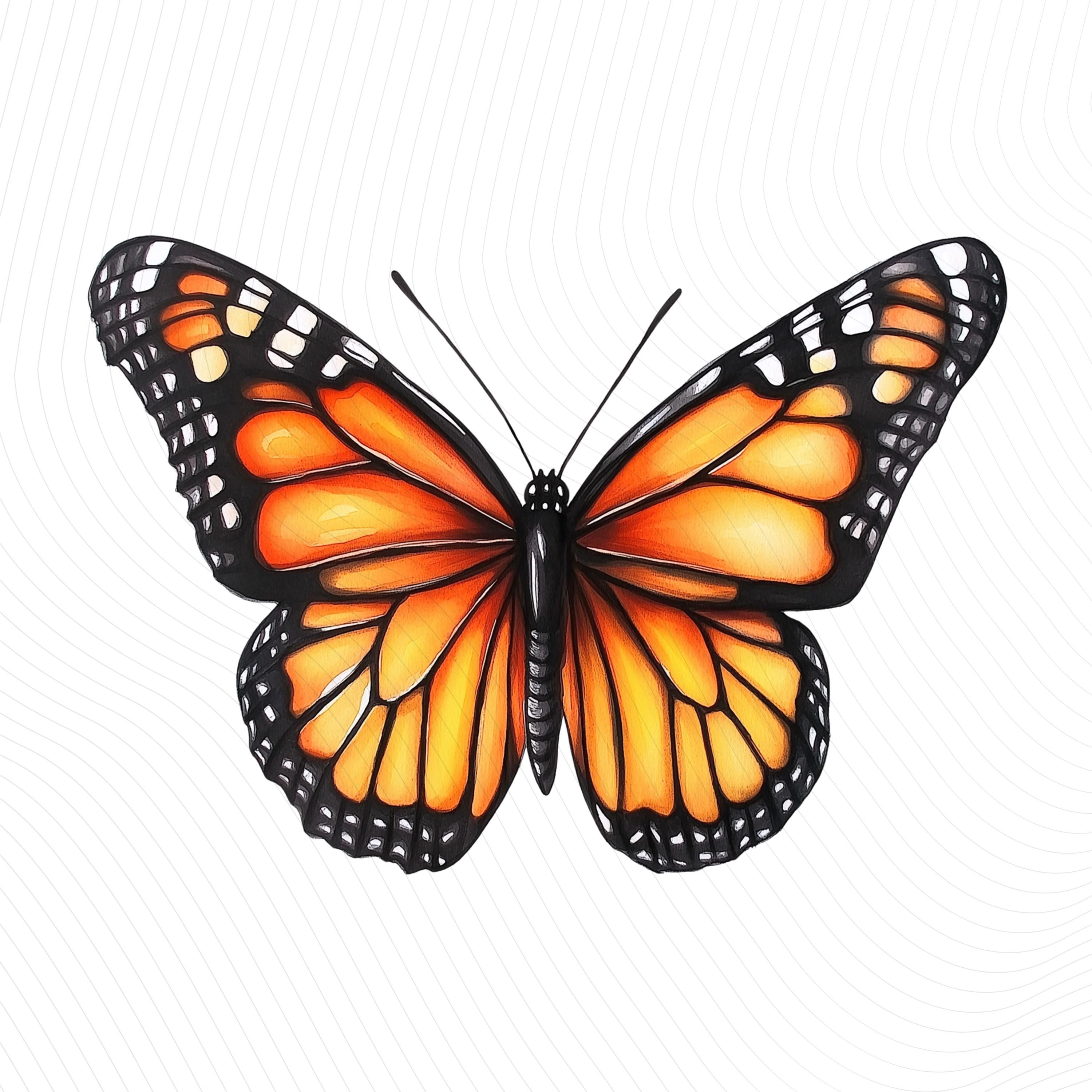 Watercolor Monarch Butterfly Clipart, Floral Butterfly PNG, Printable ...