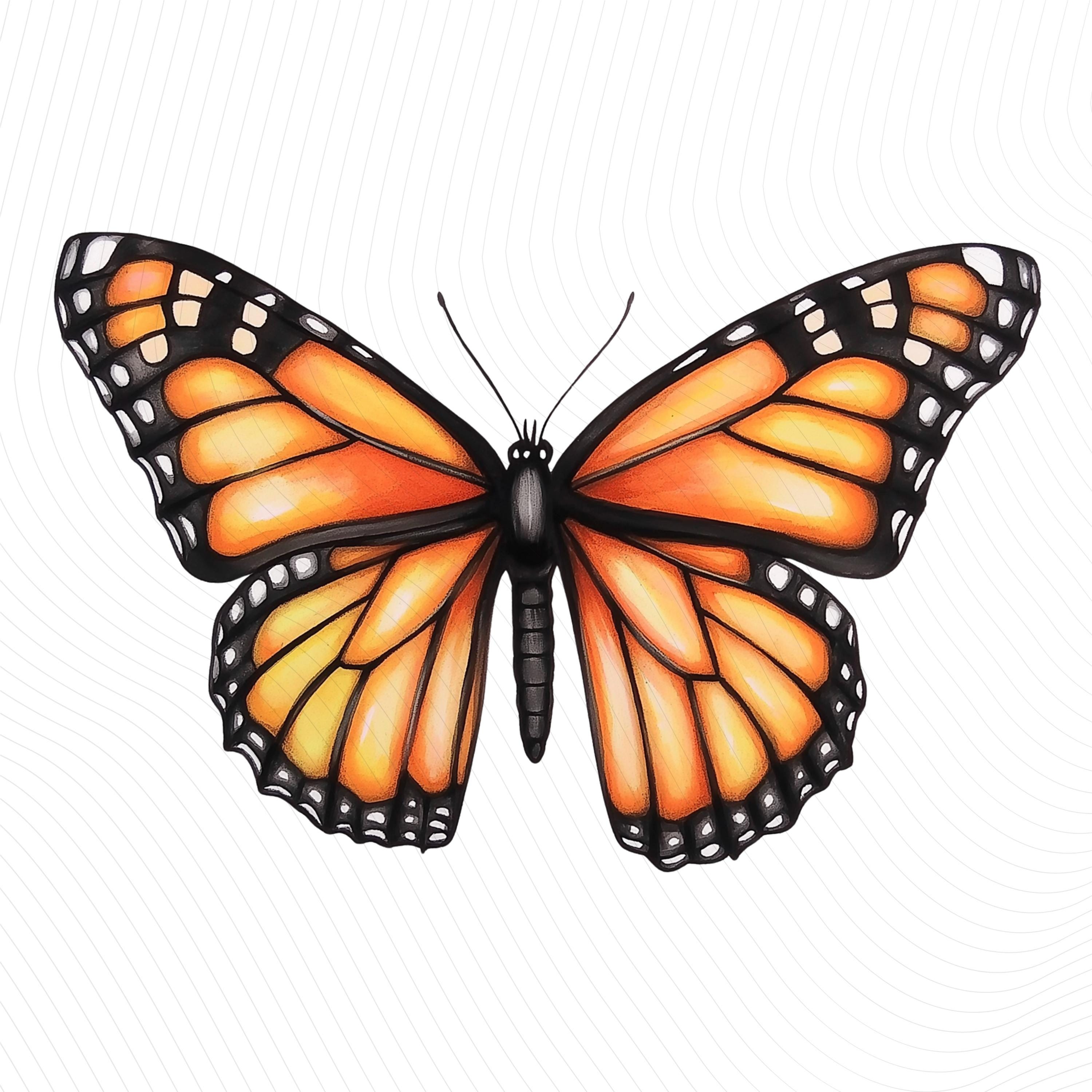 Watercolor Monarch Butterfly Clipart, Floral Butterfly PNG, Printable ...