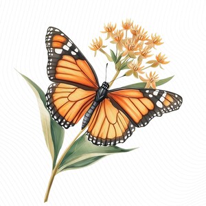 Watercolor Monarch Butterfly Clipart, Floral Butterfly PNG, Printable ...