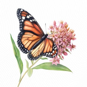 Watercolor Monarch Butterfly Clipart, Floral Butterfly PNG, Printable ...