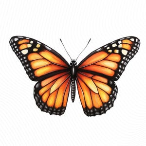 Watercolor Monarch Butterfly Clipart, Floral Butterfly PNG, Printable ...