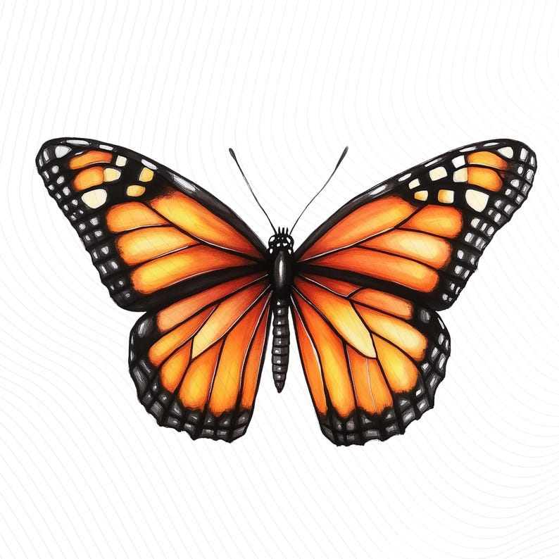 Watercolor Monarch Butterfly Clipart, Floral Butterfly PNG, Printable ...