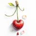 Whimsical Cherry Clipart Set – 10 High-res Jpgs – Cute Red Cherry With ...