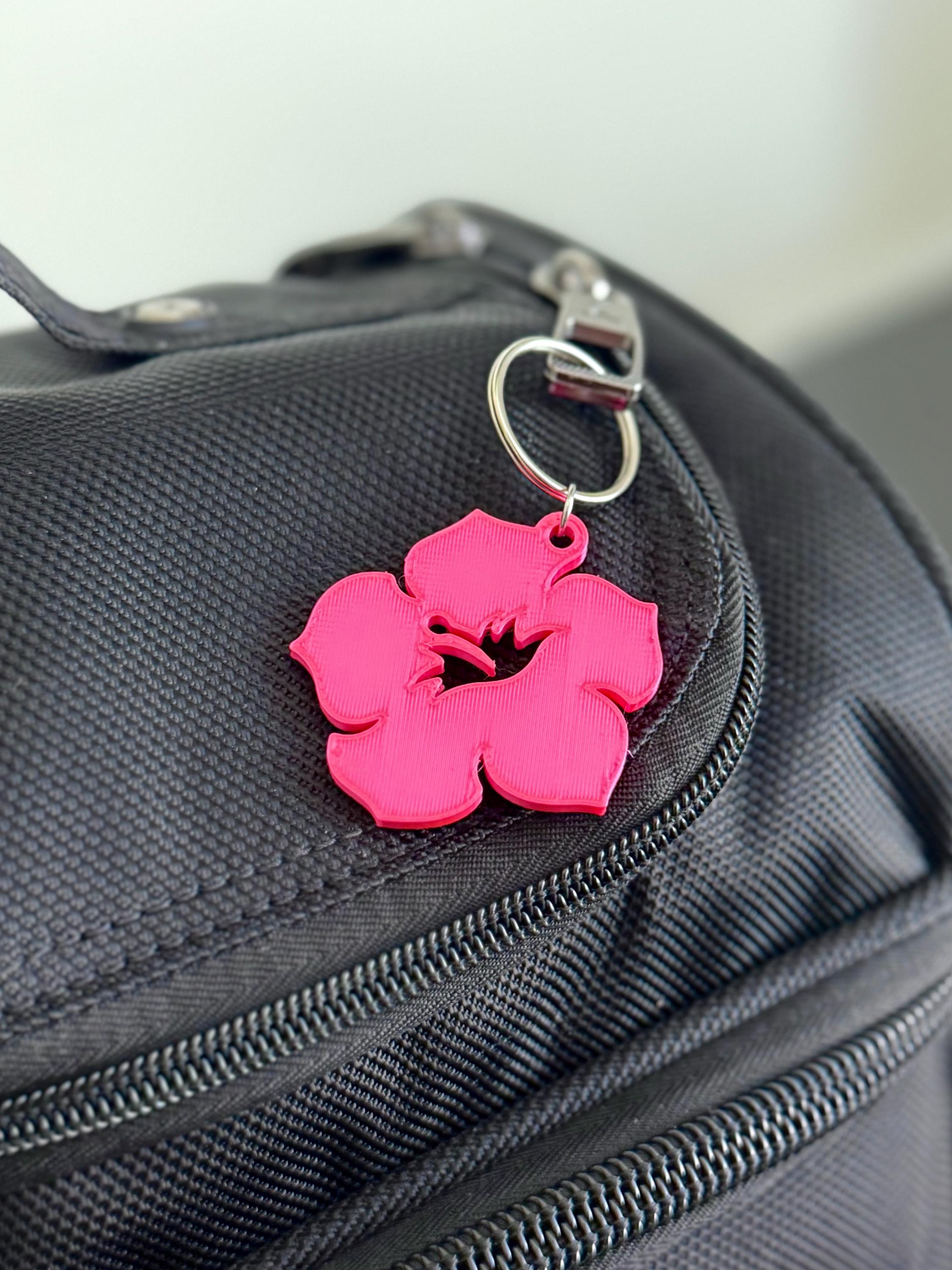 3D Printed Airline Logo Keychain, 2 Pack: Southwest, Delta, United, and ...