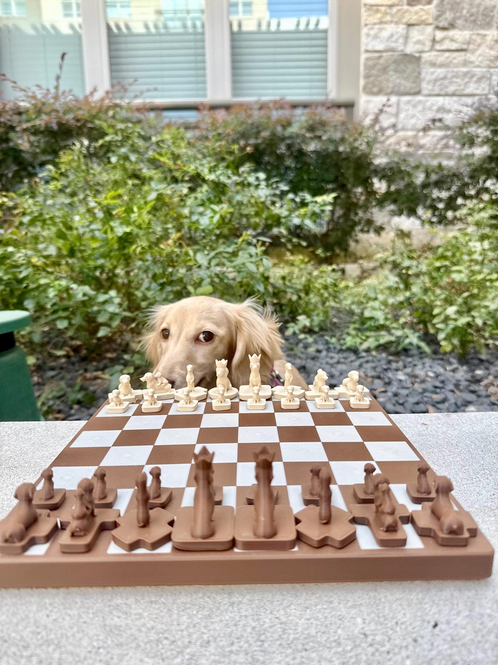 Dachshund Chess Set: 3D Printed Wiener Dog Design - Gift for Dog Lovers ...