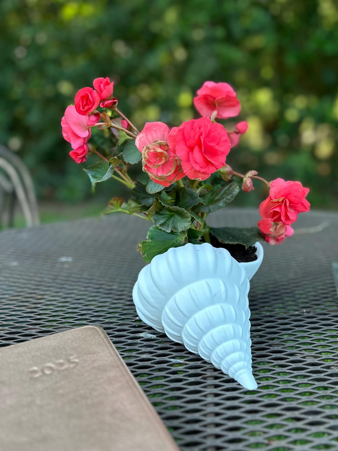 Shell Flower Pot – 3D Printed Seashell Succulent & Herb Planter ...