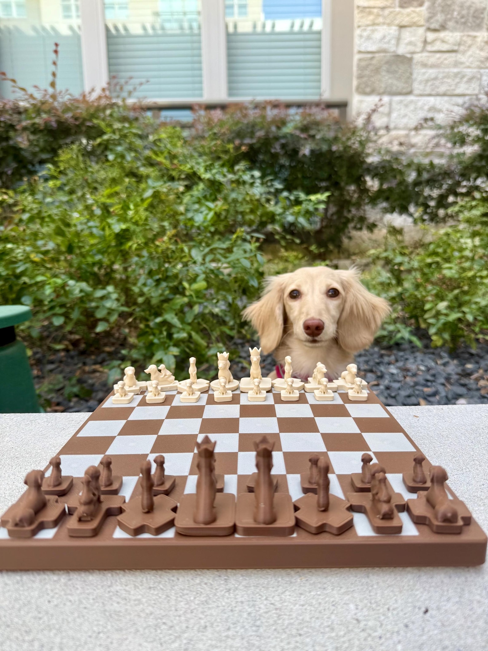 Dachshund Chess Set: 3D Printed Wiener Dog Design - Gift for Dog Lovers ...