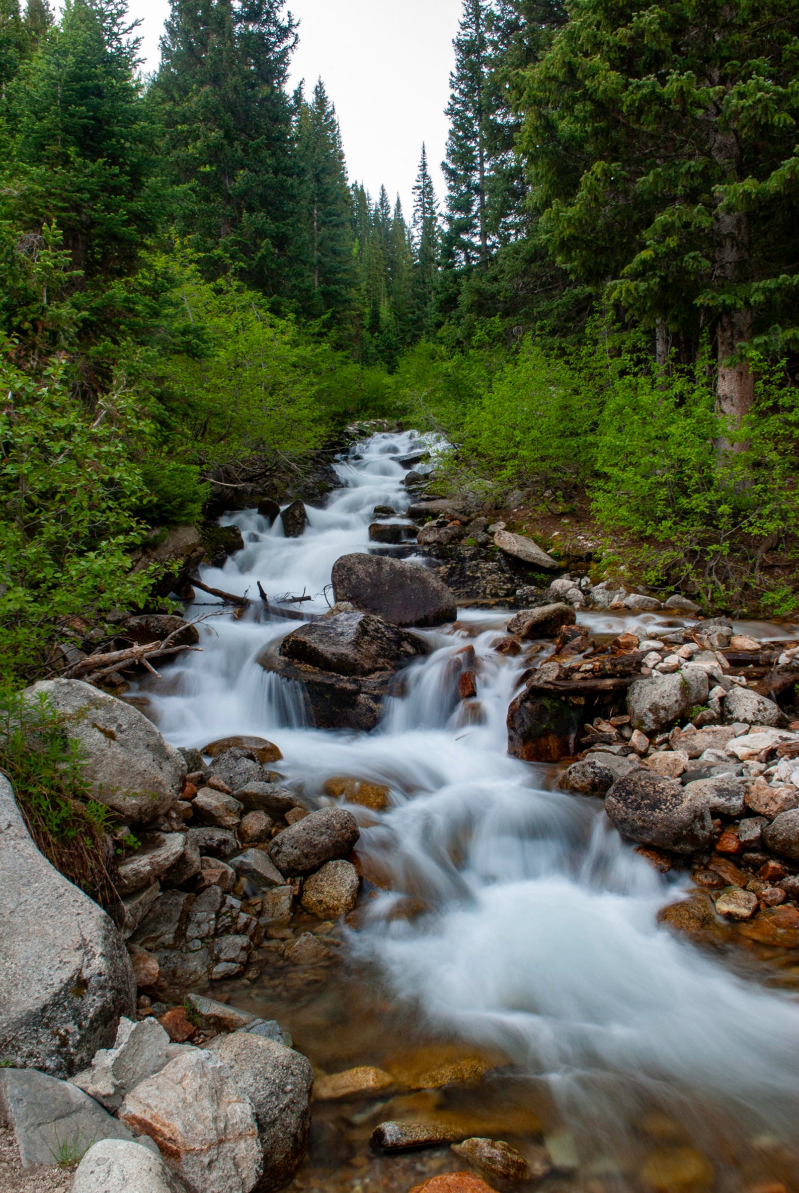 Greenery Wall Art Mountain Stream Print Landscape Photo Forest - Etsy