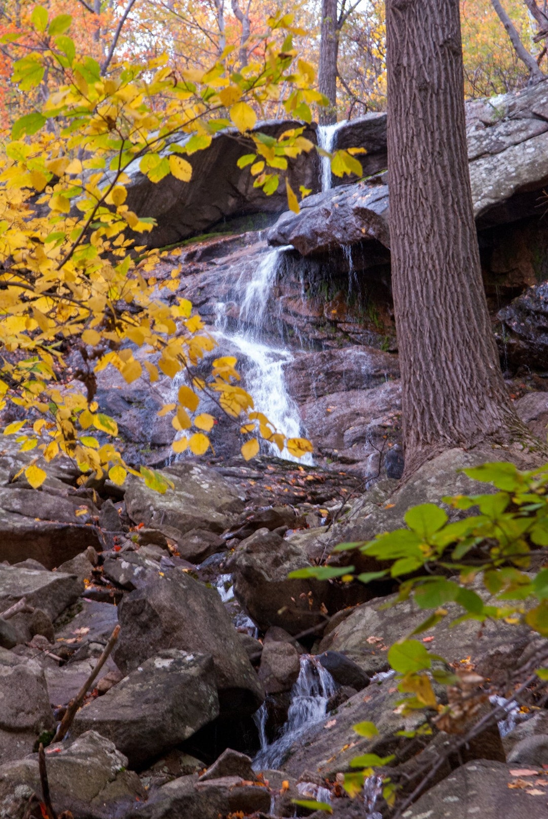 Autumn Stream Photographic Print Fall Decor Waterfall Print Mountain ...