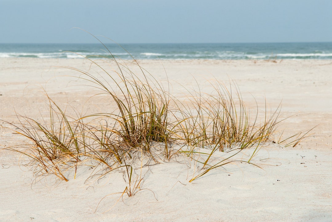 Florida Beach Photography Florida Photography Florida Beach Photo White ...
