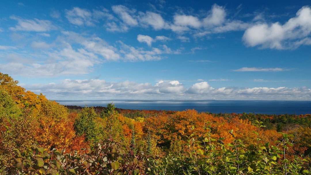 Mackinac Island Art Mackinac Island Photography Fall Foliage ...