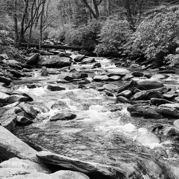 Mountain Stream - Etsy