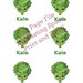 Kawaii Kale Garden Marker – Cute Printable Plant Label for Kids, Chibi ...