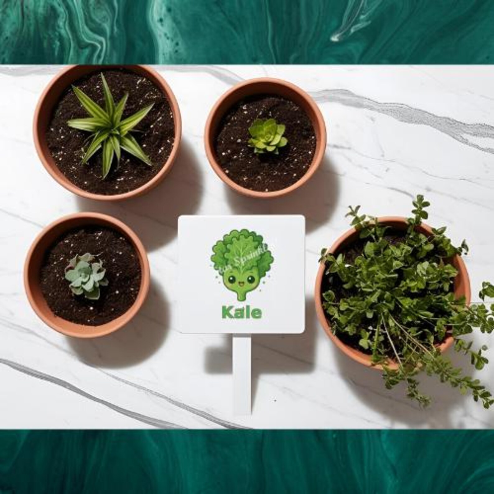 Kawaii Kale Garden Marker – Cute Printable Plant Label for Kids, Chibi ...
