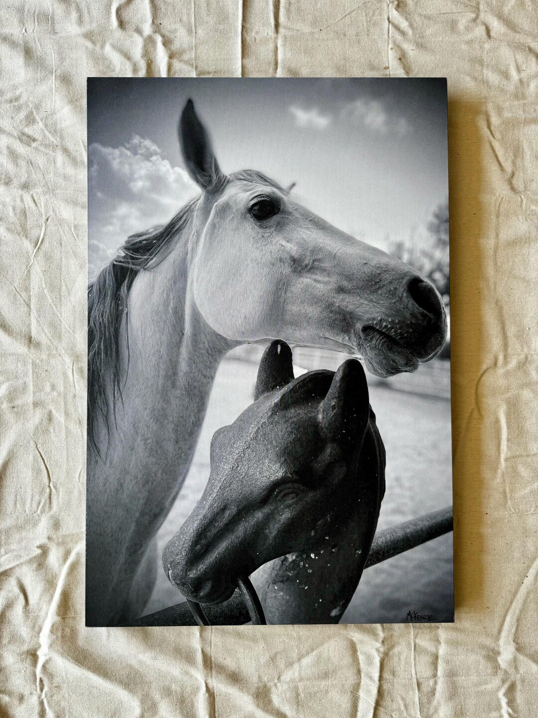 Gathered at the Hitching Post. Photograph on 24”x36” Canvas Print ...