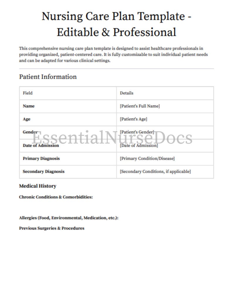 Editable Nursing Care Plan Template | Professional & Customizable - Etsy