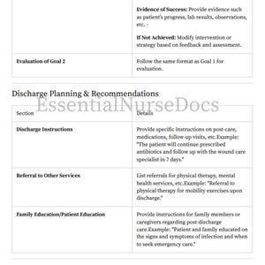 Editable Nursing Care Plan Template | Professional & Customizable - Etsy