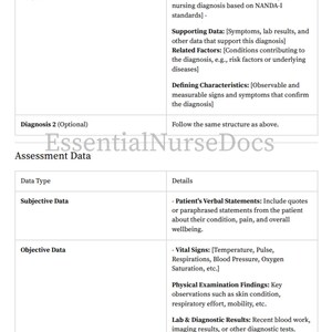 Editable Nursing Care Plan Template | Professional & Customizable - Etsy