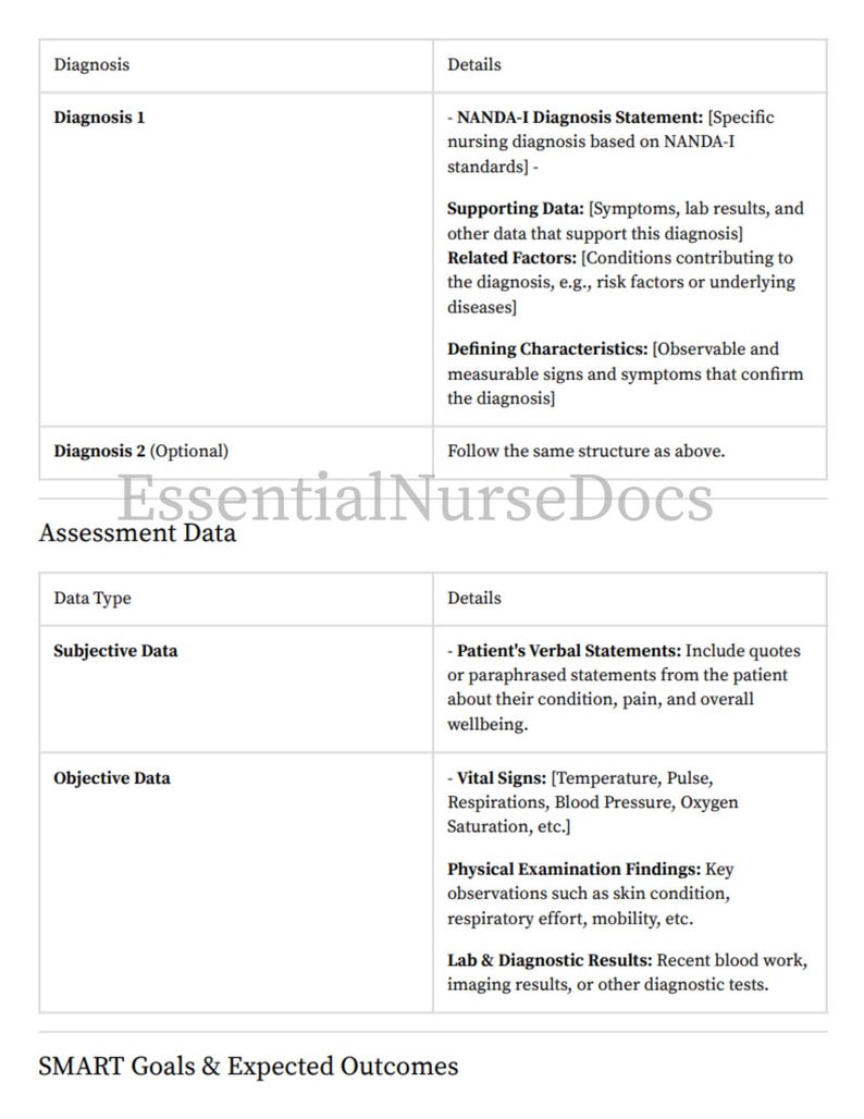 Editable Nursing Care Plan Template | Professional & Customizable - Etsy
