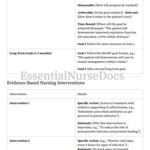 Editable Nursing Care Plan Template | Professional & Customizable - Etsy