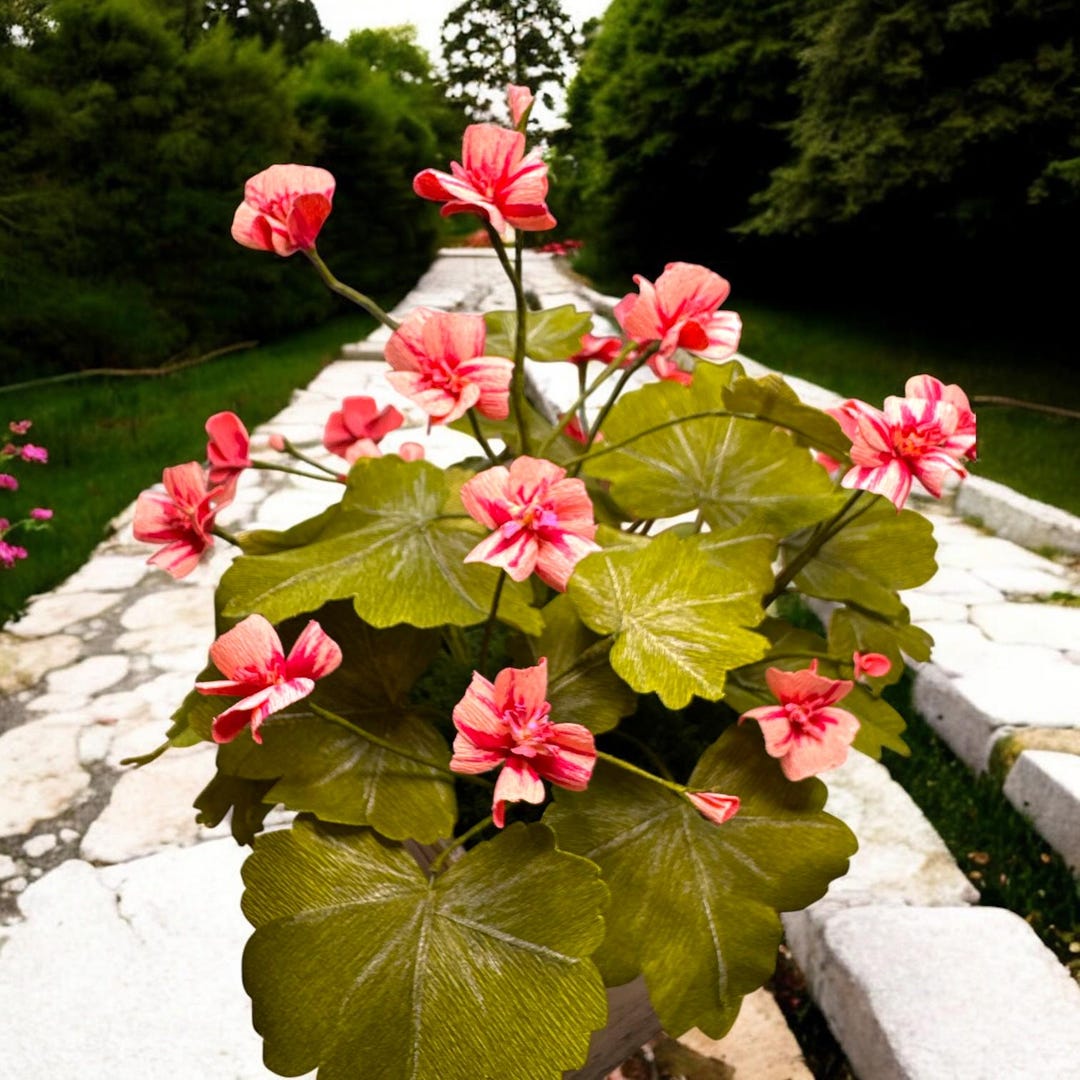 Handcrafted Paper Geranium Plant With Lifelike Pink Blooms and Lush ...