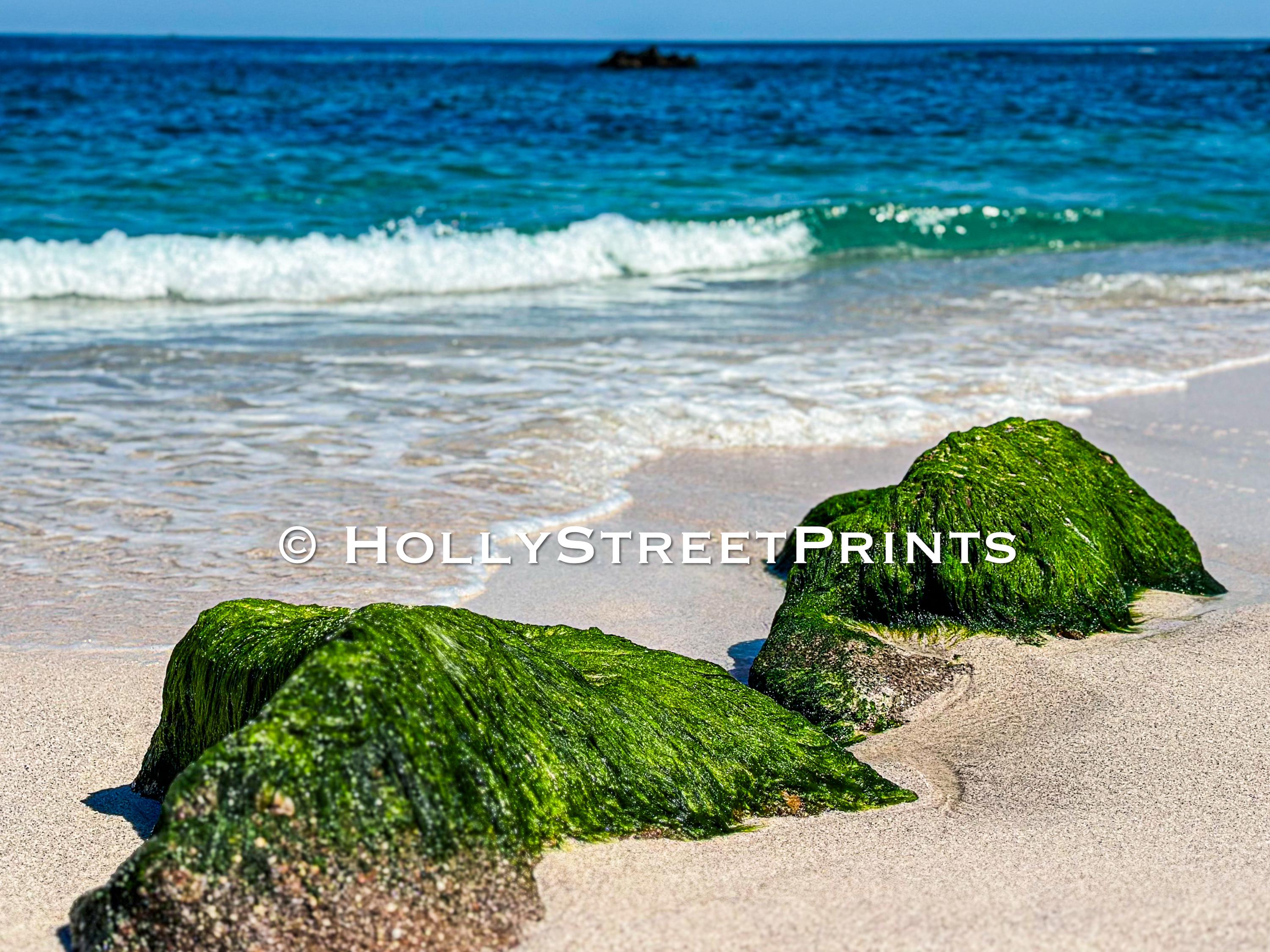 Moss-covered Rocks on Beach in Punta Mita, Mexico - Etsy