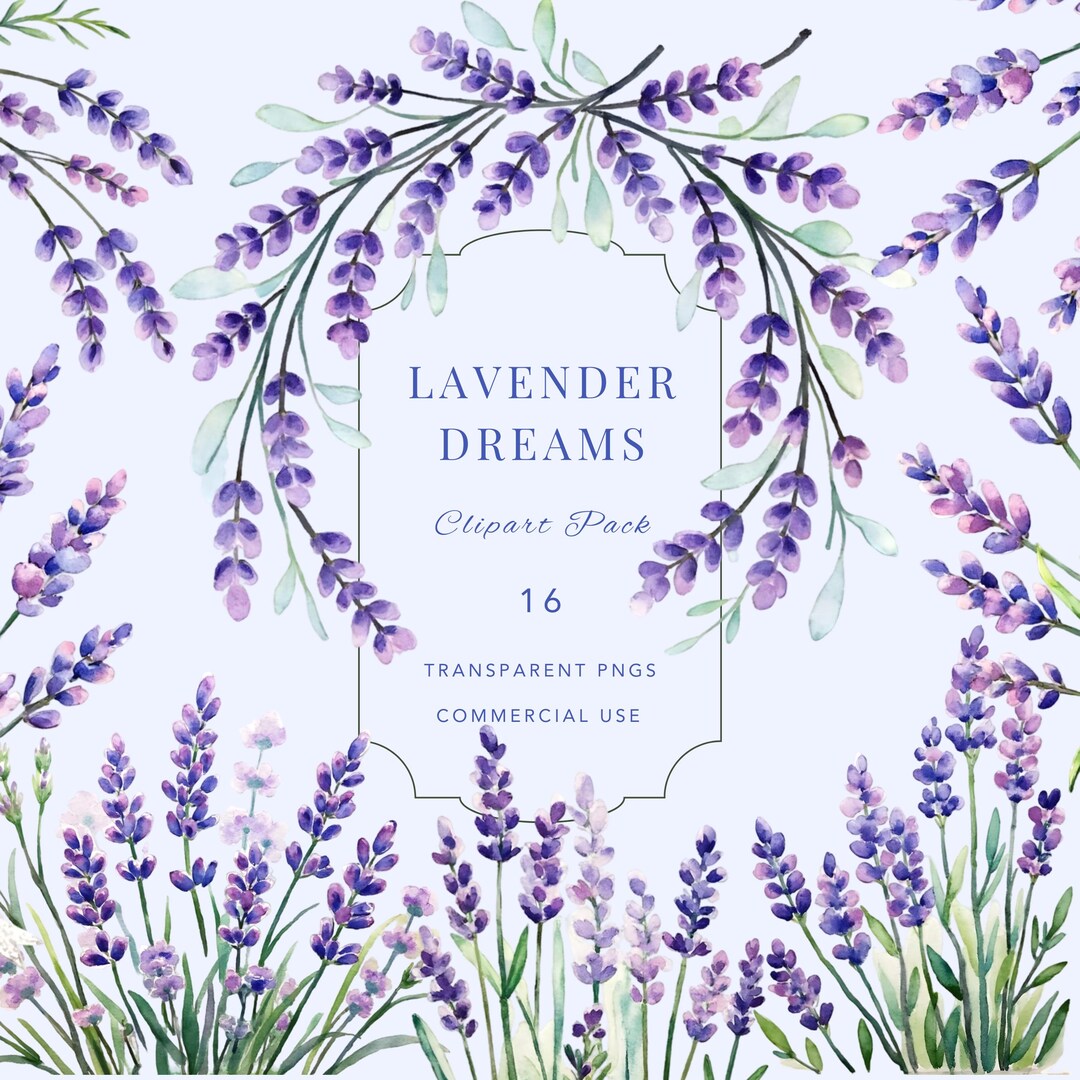 Lavender Clipart Set, Watercolor Flowers, Floral Botanicals, Purple ...