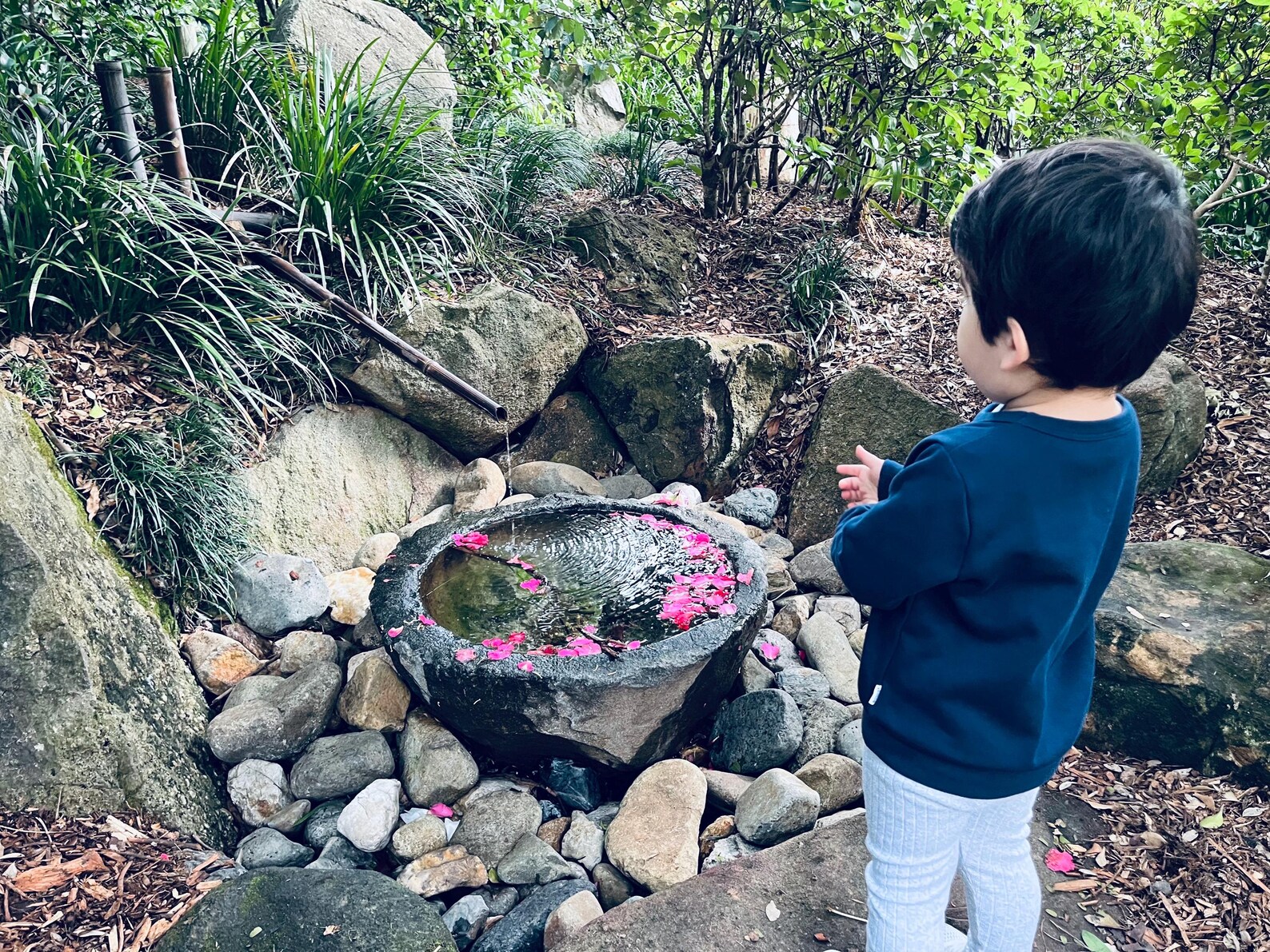 WOODLAND PLAYSCAPE Sensory Open-ended Small-world Play. Curated Nature ...