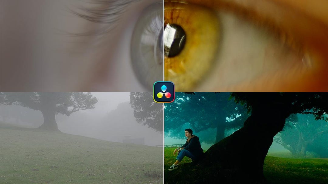 KODAK 2383 Ultimate Powergrade for Professional Color Grading in ...