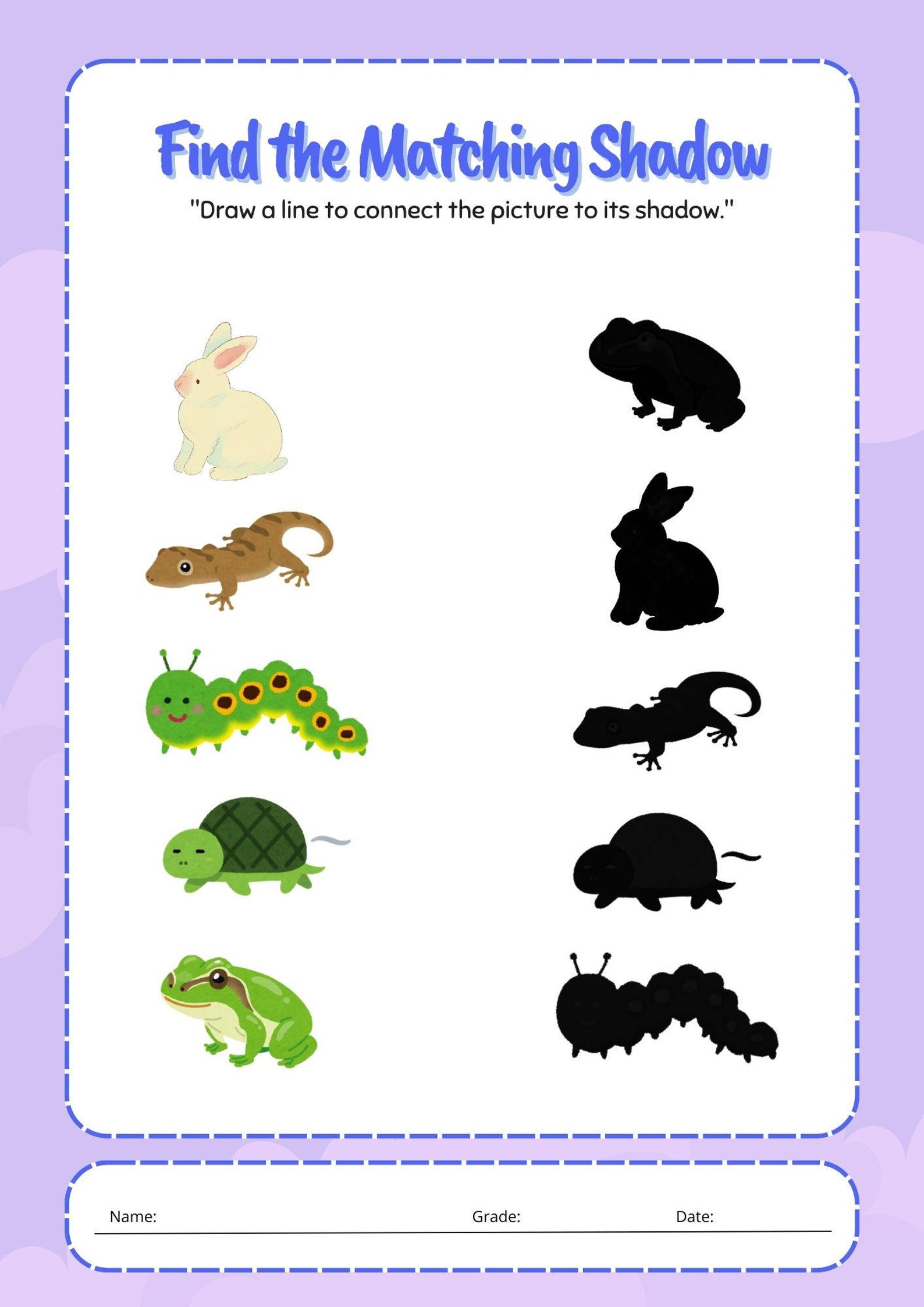 Animal Shadow Matching Printable - Etsy