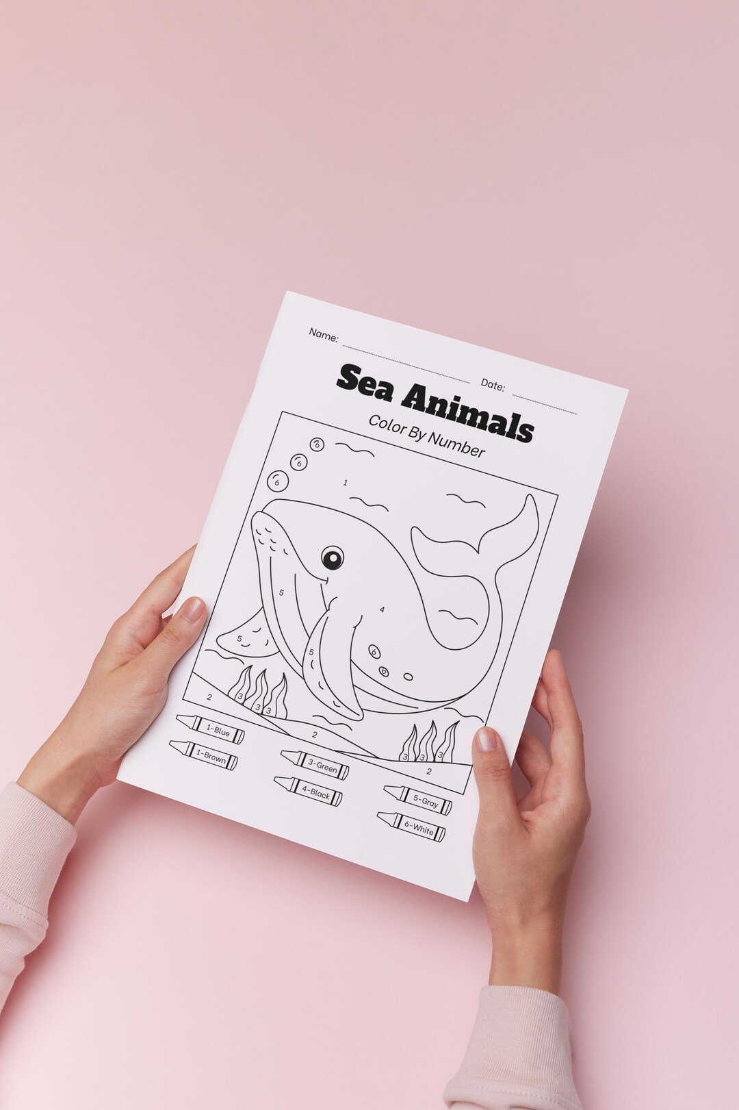 Sea Animal Color by Number Printable - Etsy