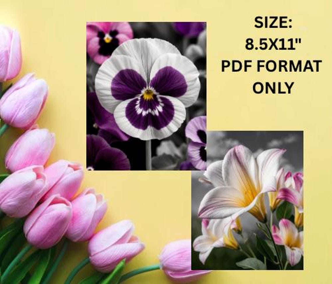 20 Spring Flower Coloring Pages | Printable 8.5x11 PDF | Floral ...