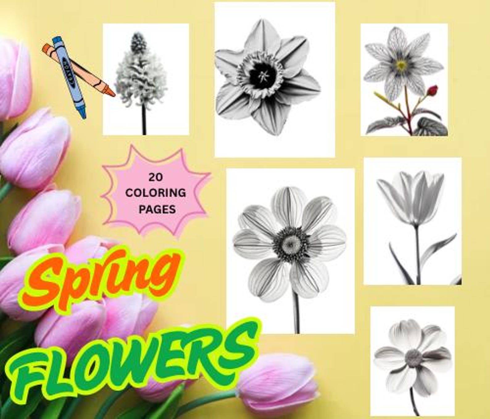 20 Spring Flower Coloring Pages | Printable 8.5x11 PDF | Floral ...