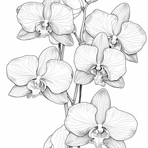 Botanical Flowers Coloring Book – 50 Printable Pages for Mindfulness ...